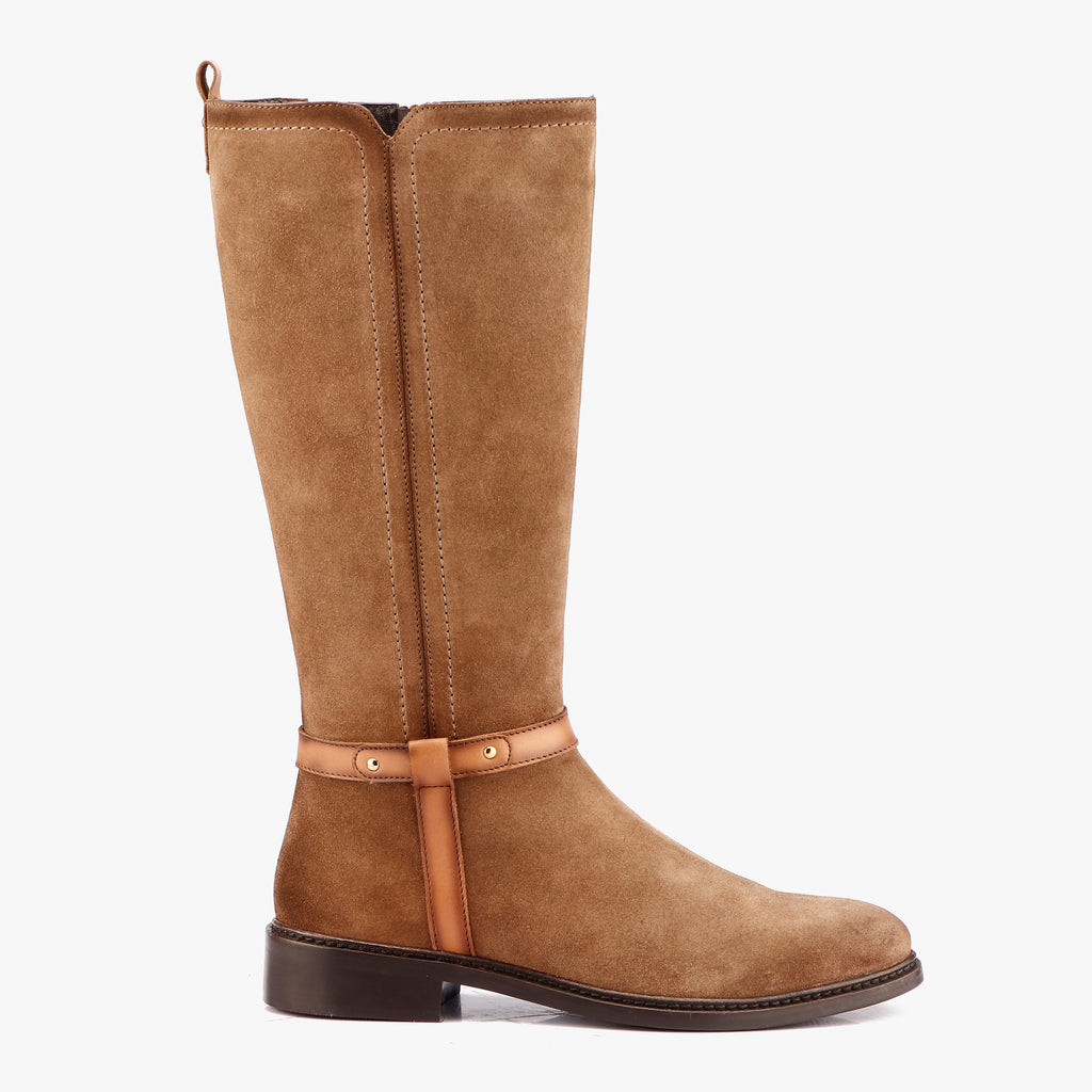 YOLI 2 – AFPL Global